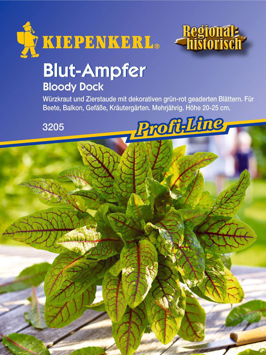 Blut Sauerampfer - Rumex sanguineus günstig kaufen
