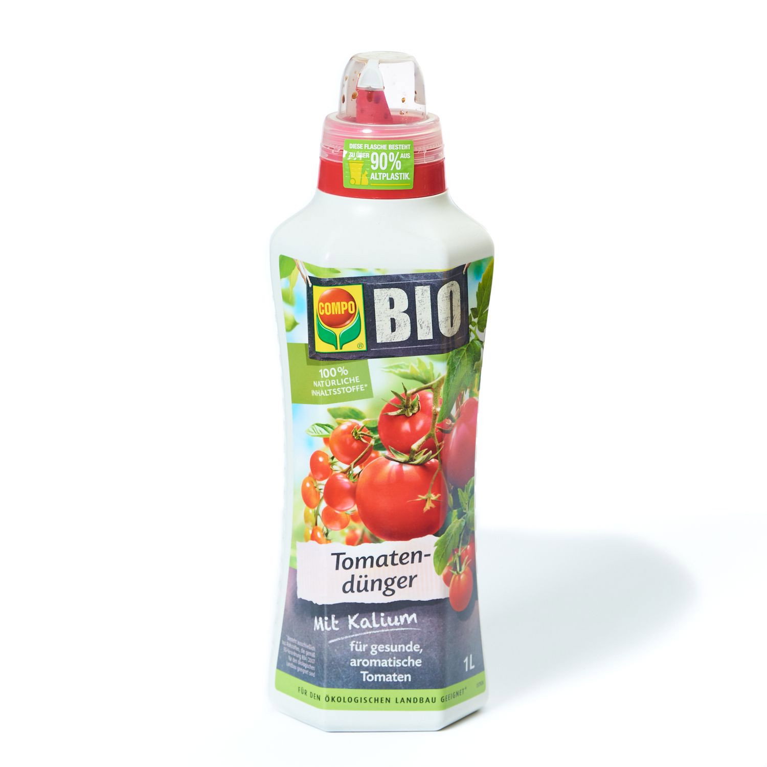 Bio Mini Tomate Mini Tom - Blu Lycopersicon esculentum Mini Tom günstig ...