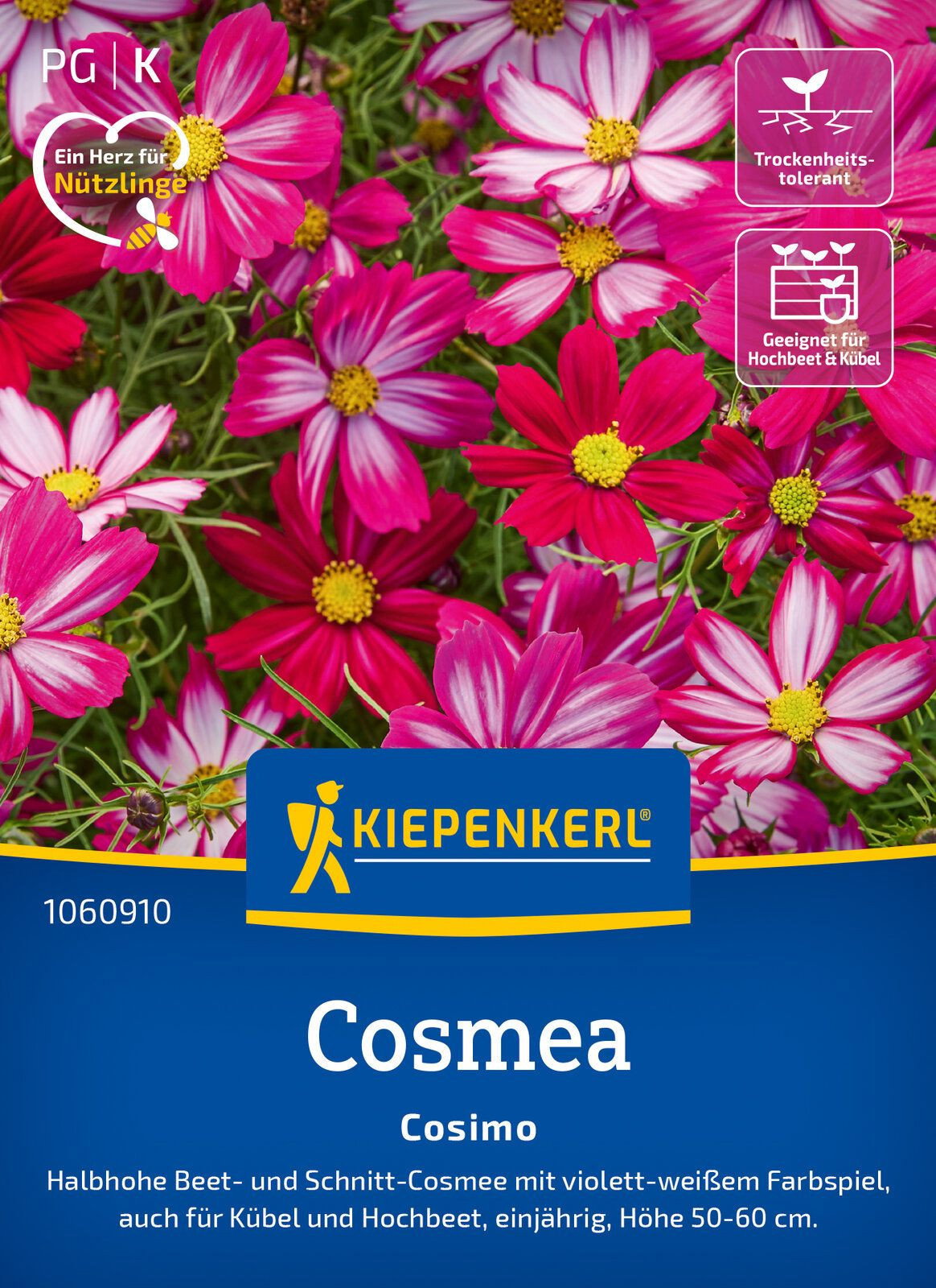 Schmuckkörbchen Cosmea Cosimo - Kiepenkerl Cosmos bipinnatus Cosimo ...