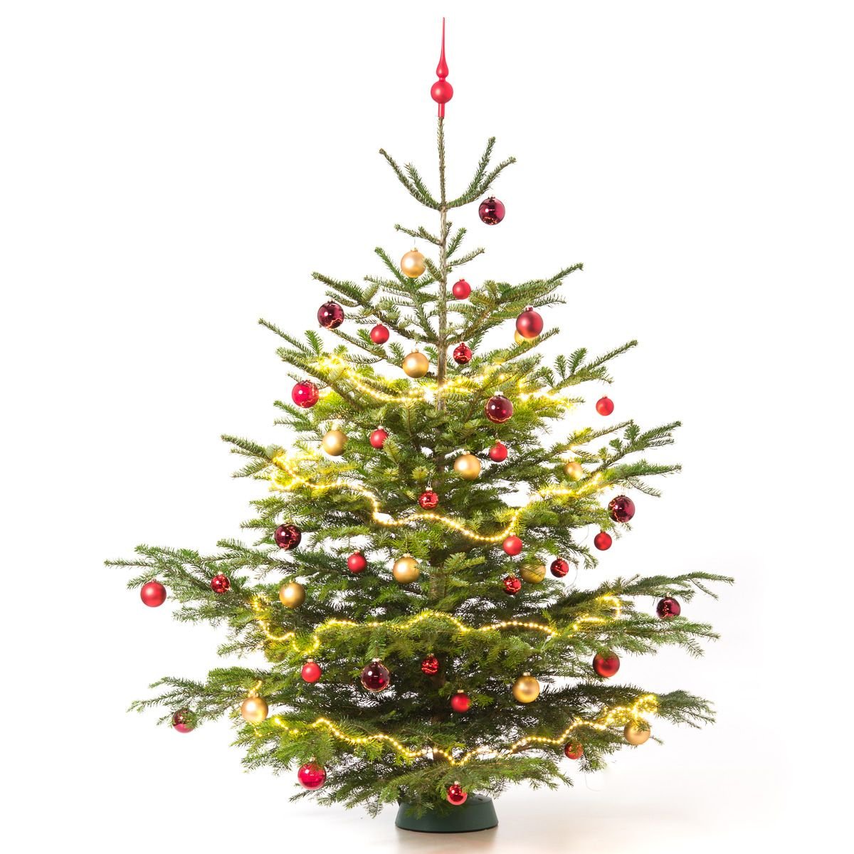 Weihnachtsbaum Unikate - Abies Christbaum Unikate günstig online kaufen