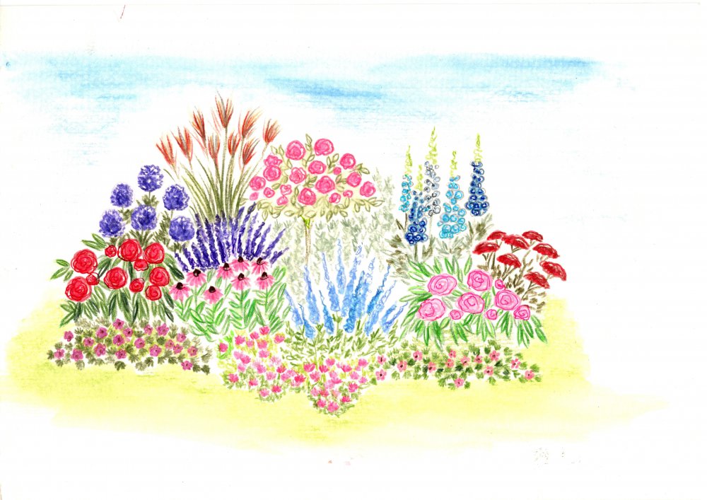 Sommertraum - Rosa Garten günstig kaufen