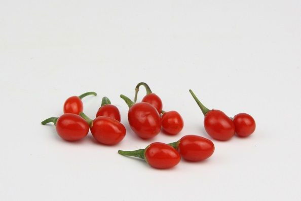 Bio Goji-Beere - Blu Lycium barbarum günstig kaufen