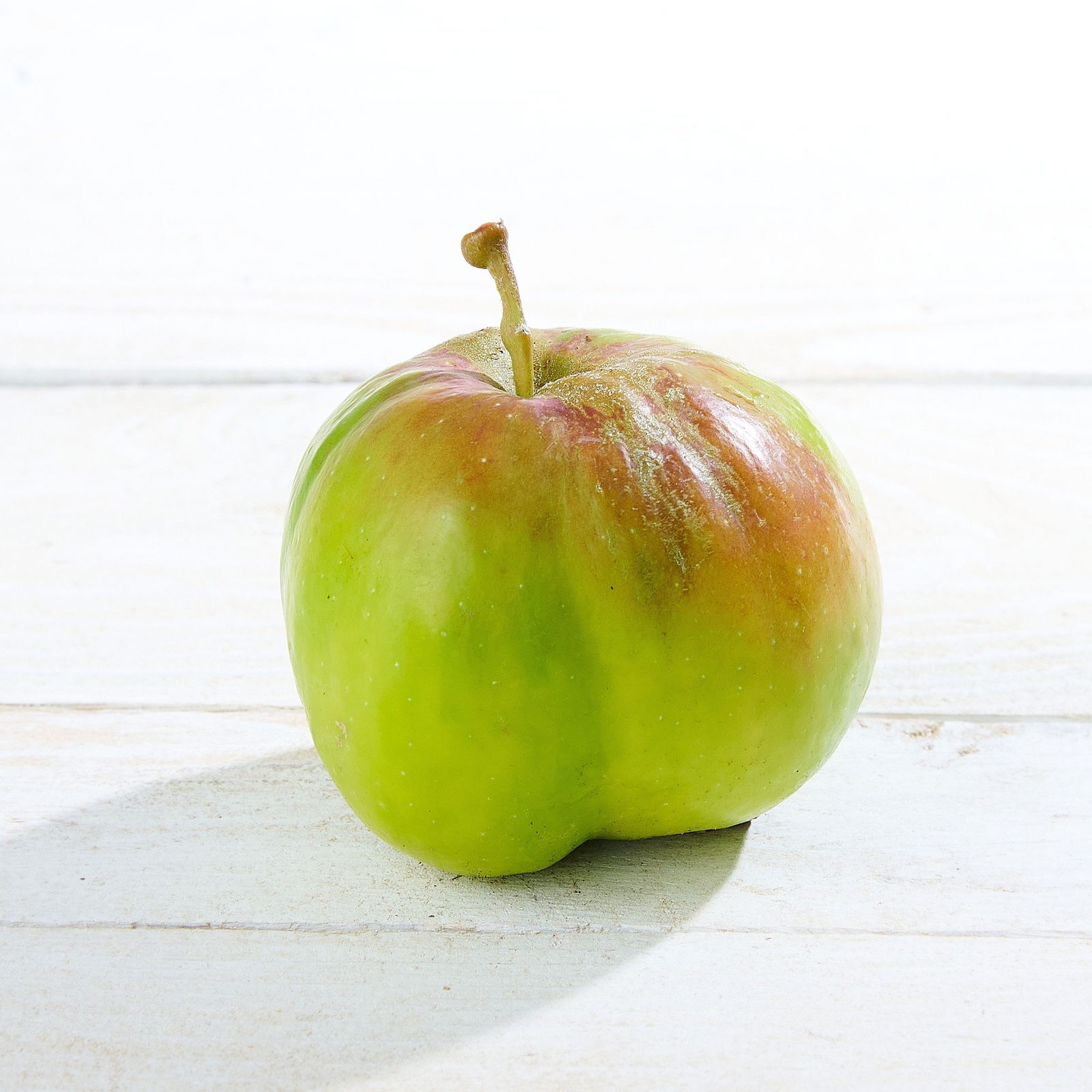 Apfel Apistar - Malus Apistar günstig kaufen