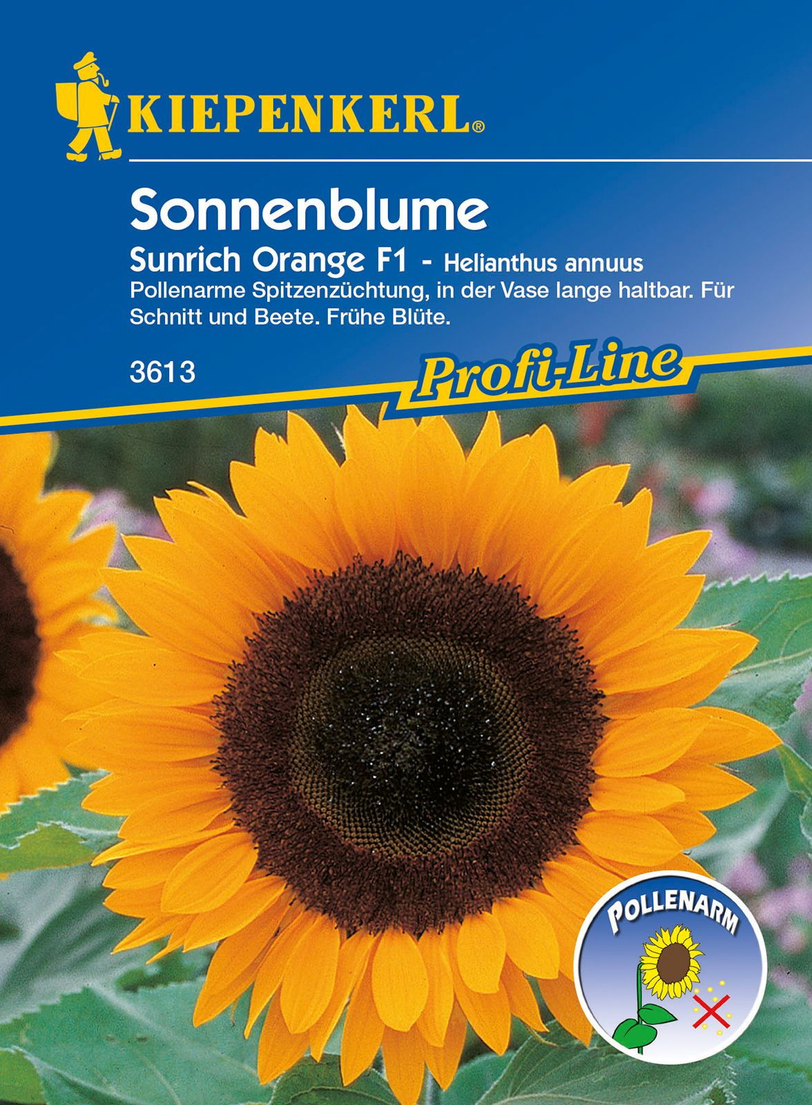 Sonnenblume Sunrich Orange - Kiepenkerl Helianthus annuus günstig kaufen
