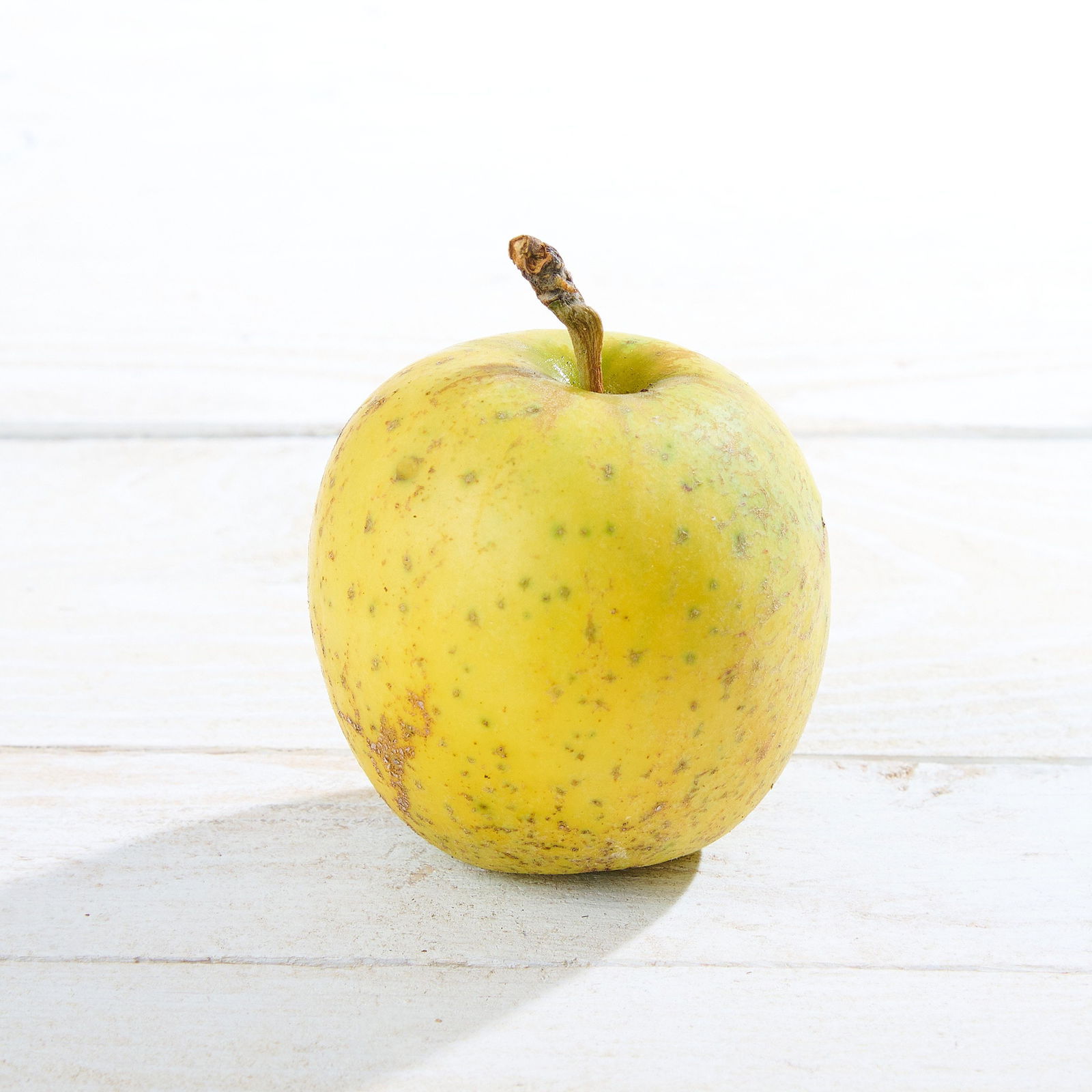 Apfel Ananasrenette - Malus Ananasrenette günstig kaufen