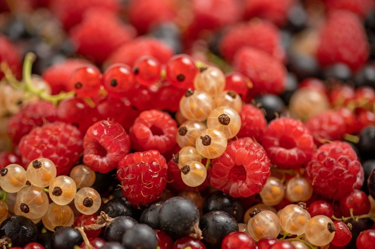 Beerenzauber Paket - Bunte Beeren Vielfalt günstig kaufen