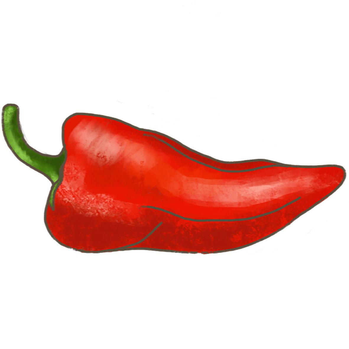 Bio Spitzpaprika rot - Blu Capsicum annuum Conored günstig kaufen