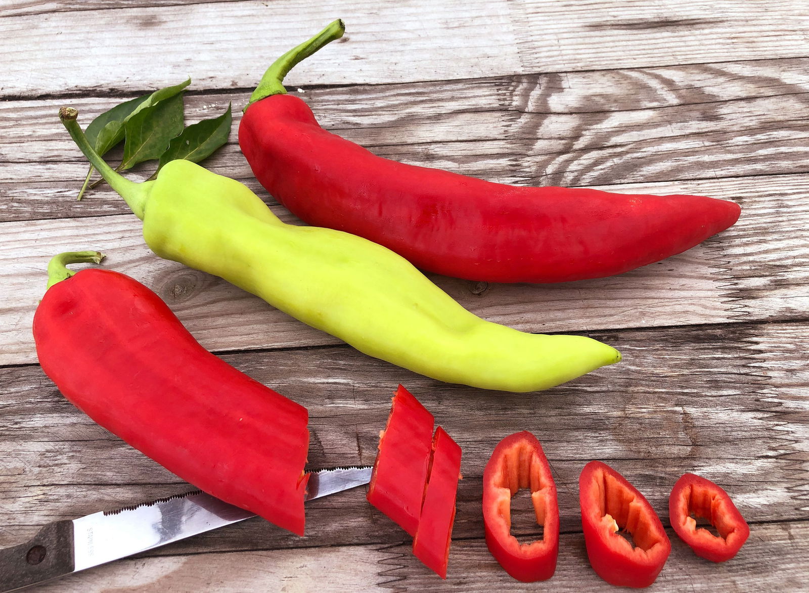 Bio Spitzpaprika rot - Blu Capsicum annuum Conored günstig kaufen