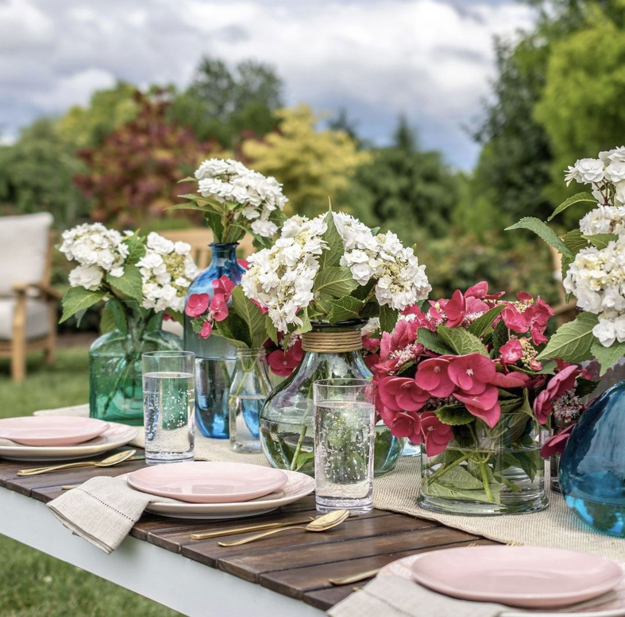 Gartenhortensie Cherry Explosion® - Hydrangea macrophylla Cherry ...