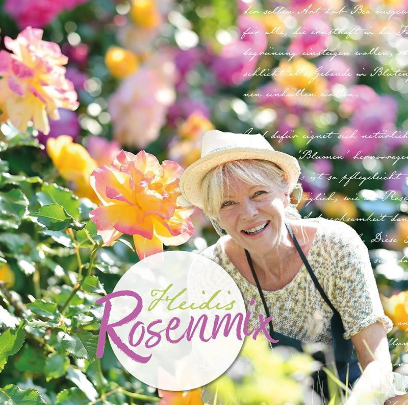 Heidis Rosenmix - 5 robuste Rosen für alle Zwecke günstig kaufen
