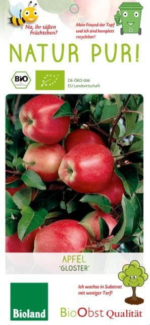 Bio Apfel Gloster 69 - Bio Malus Gloster 69 günstig kaufen