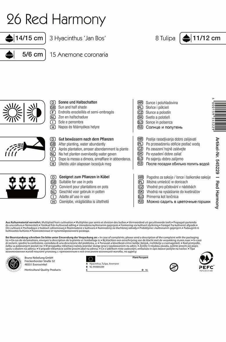 Kiepenkerl Red Harmony - Kiepenkerl Colour Symphony Red Harmony günstig kaufen