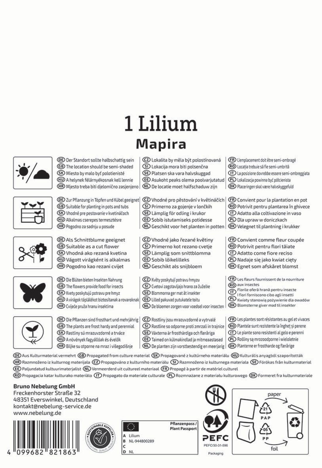 Asiatische Lilie Mapira - Kiepenkerl Lilium x Hybrida Mapira günstig kaufen