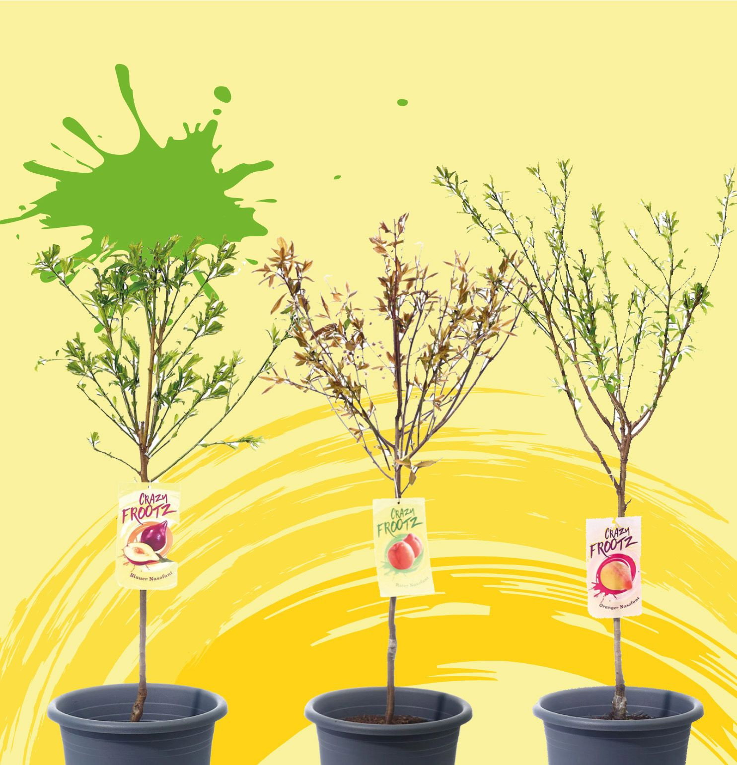 Crazy Frootz Nasofanten - Prunus domestica Sharky's Plum günstig kaufen