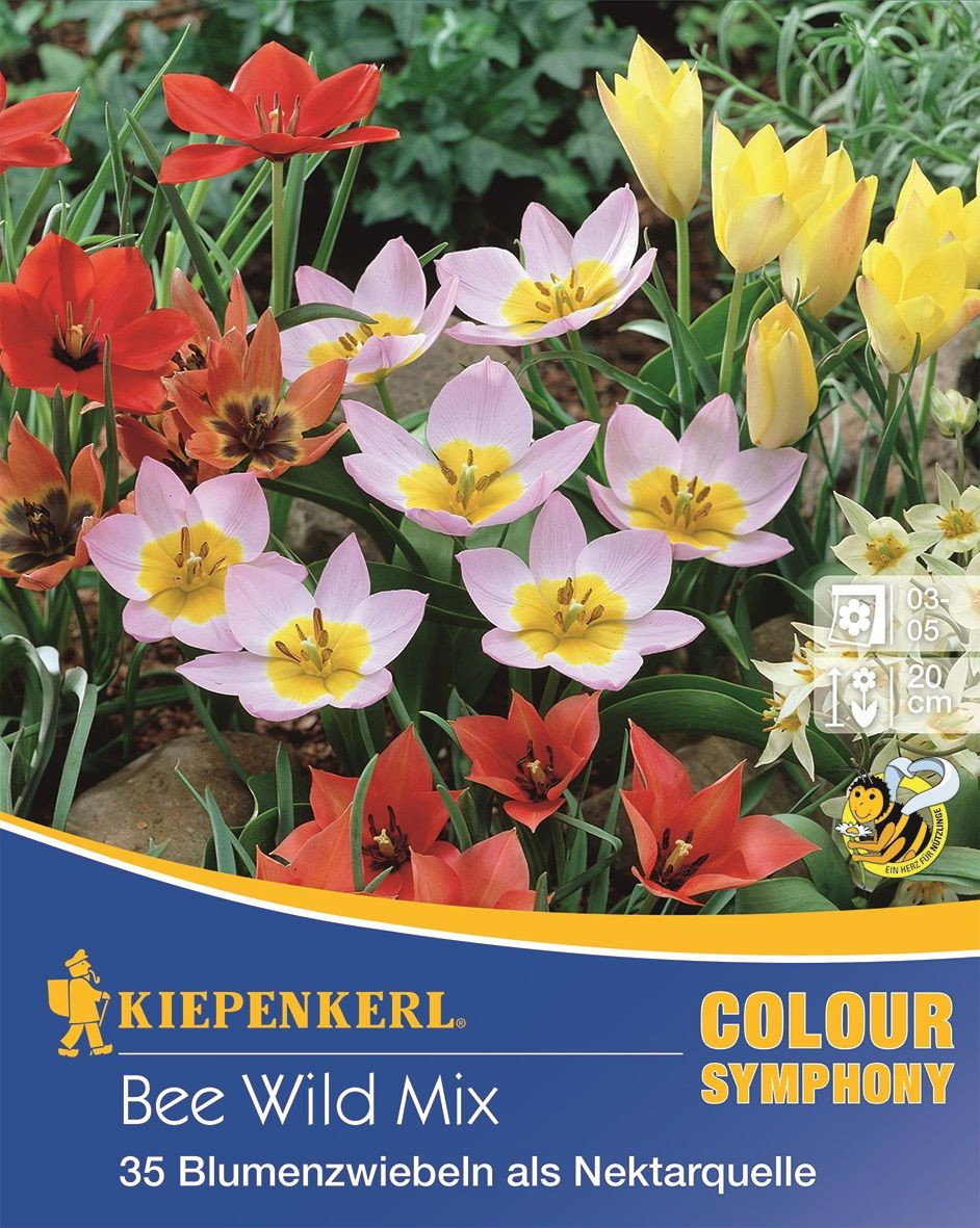 Kiepenkerl Bee Wild Mix - Colour Symphony Bee Wild Mix günstig kaufen