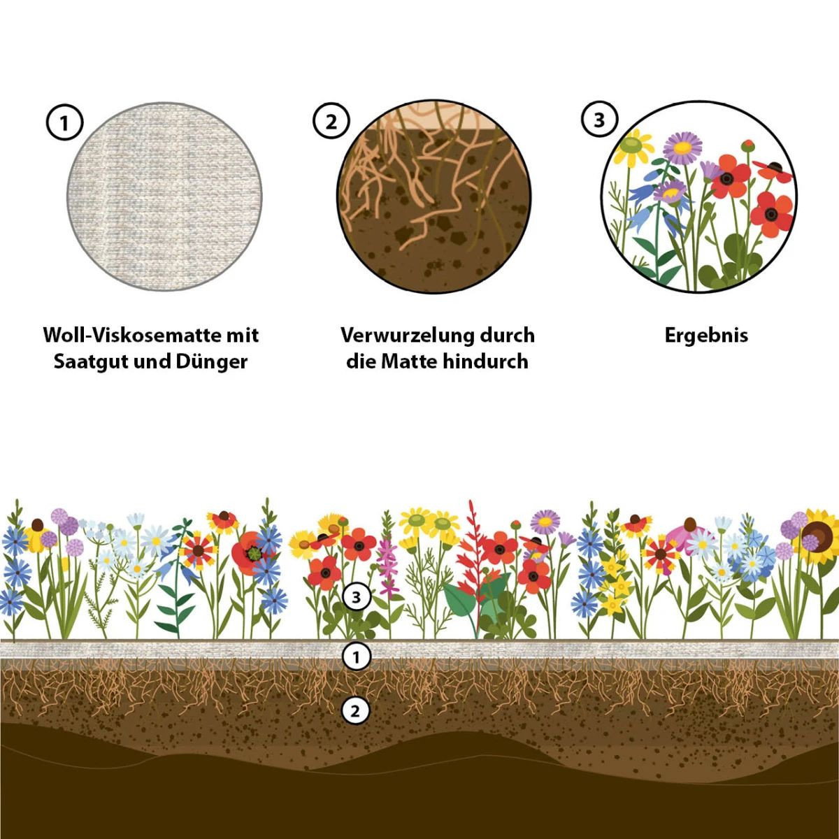 Blumenpracht Niedrige Blumenwiese - GG Blumenwiese Blumenpracht ...