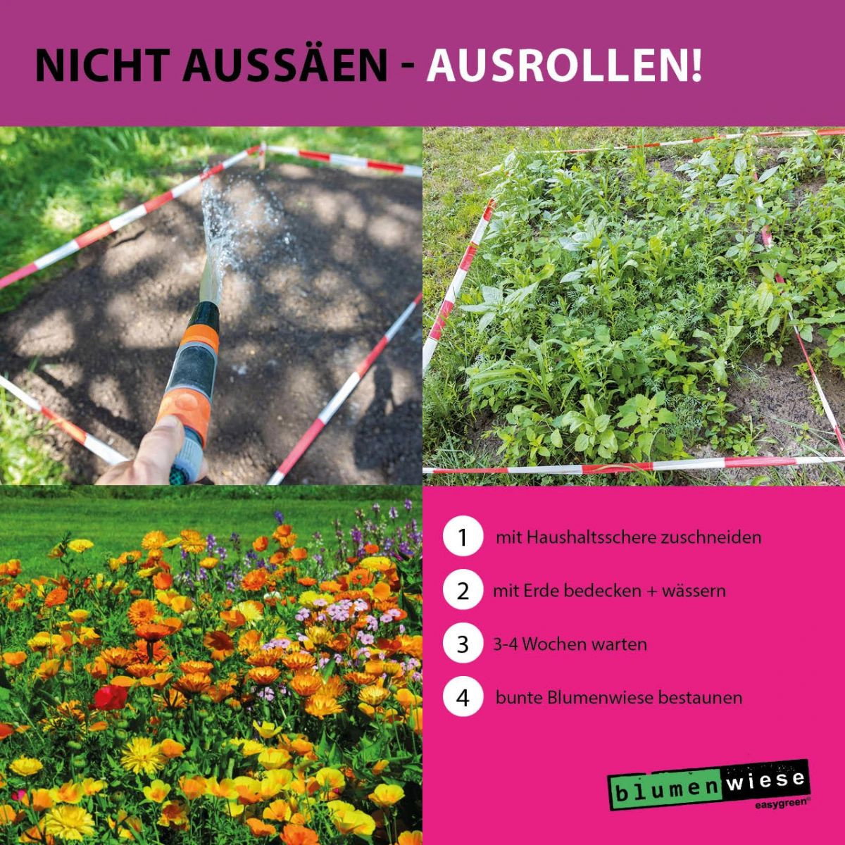 Blumenpracht Niedrige Blumenwiese - GG Blumenwiese Blumenpracht ...