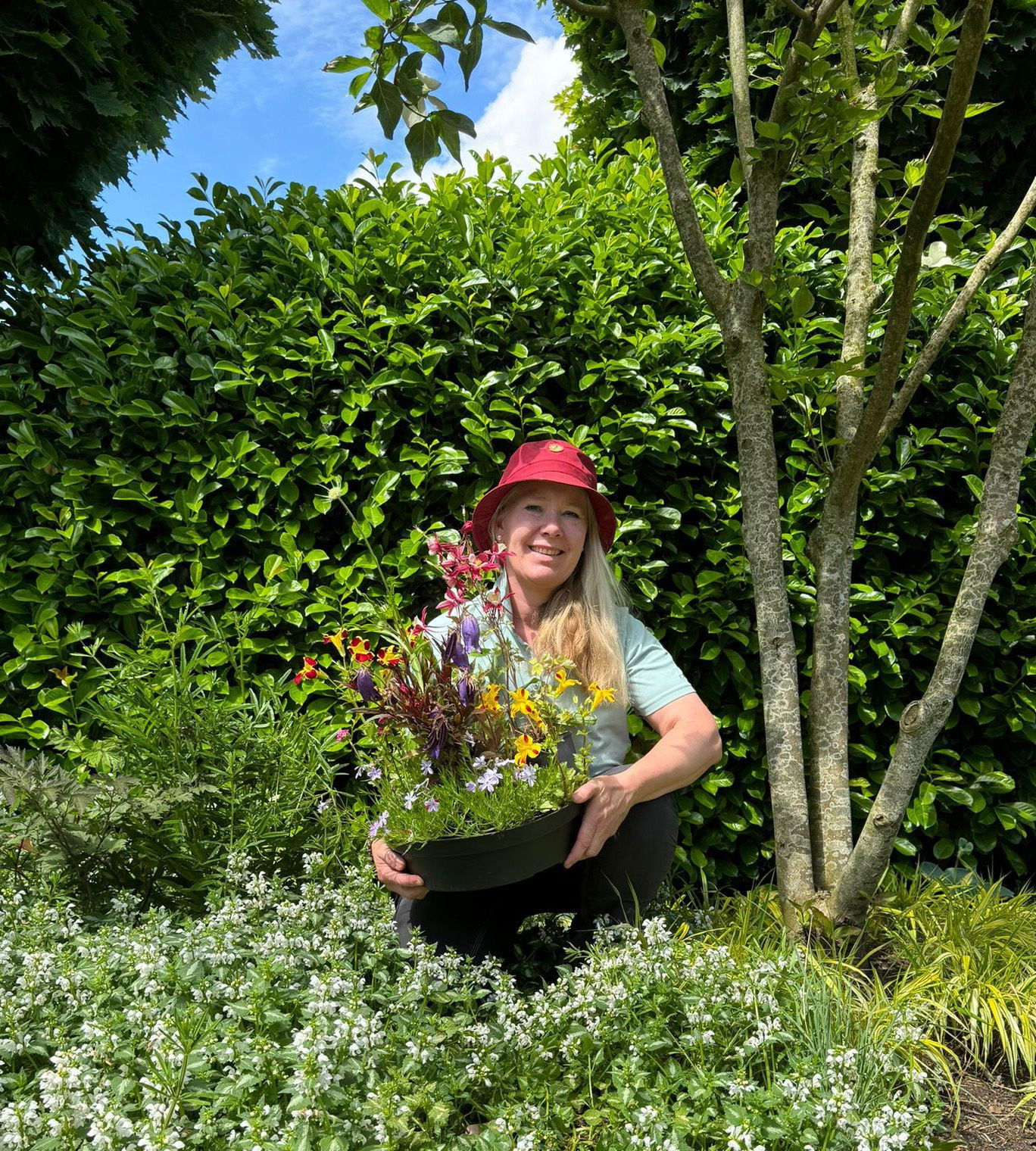 Ruths Staudenset frisch aus Ihrem Quartier - 10 Stück saisonale Stauden ...