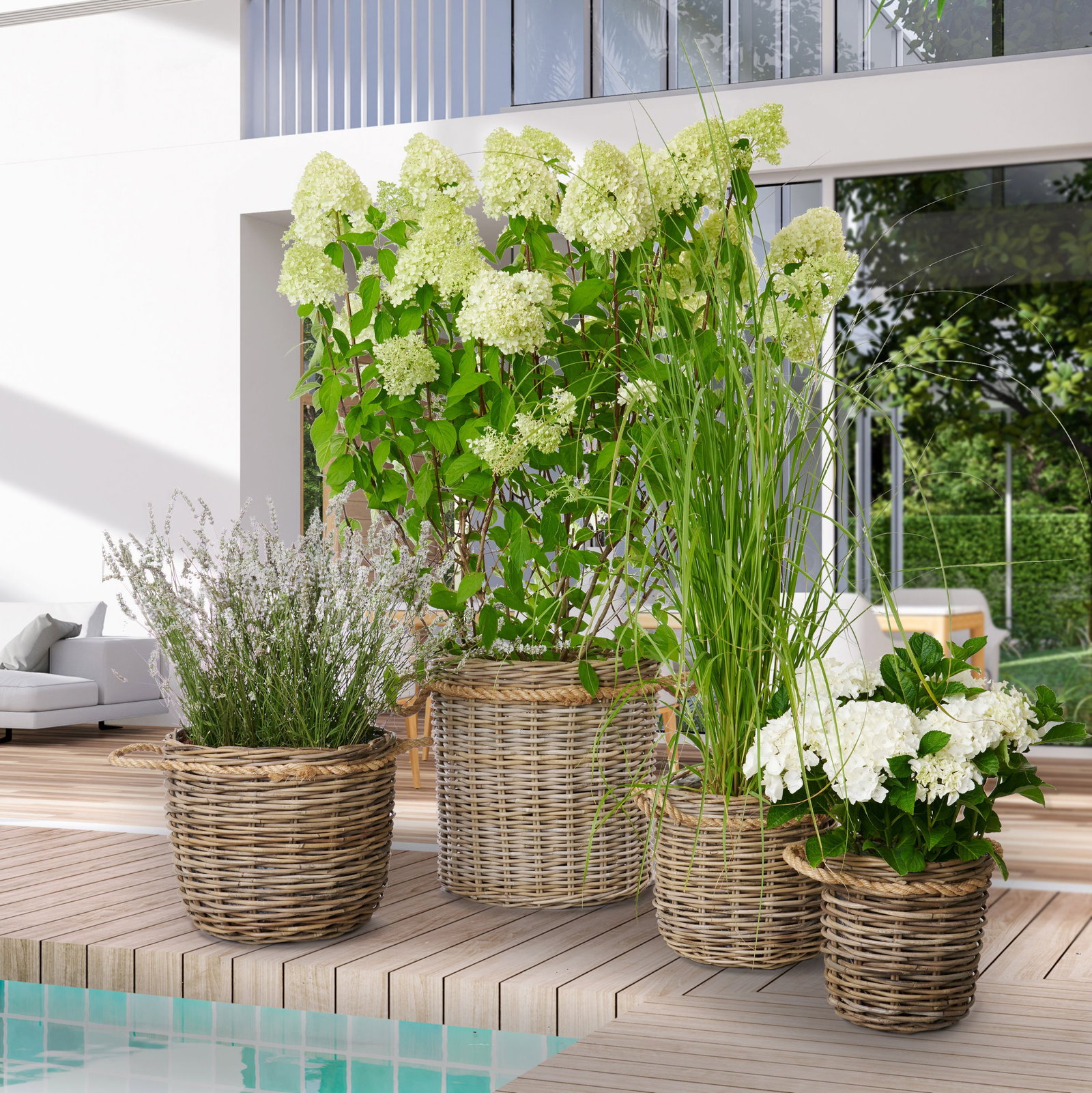 Rattan Korb Bepflanzen