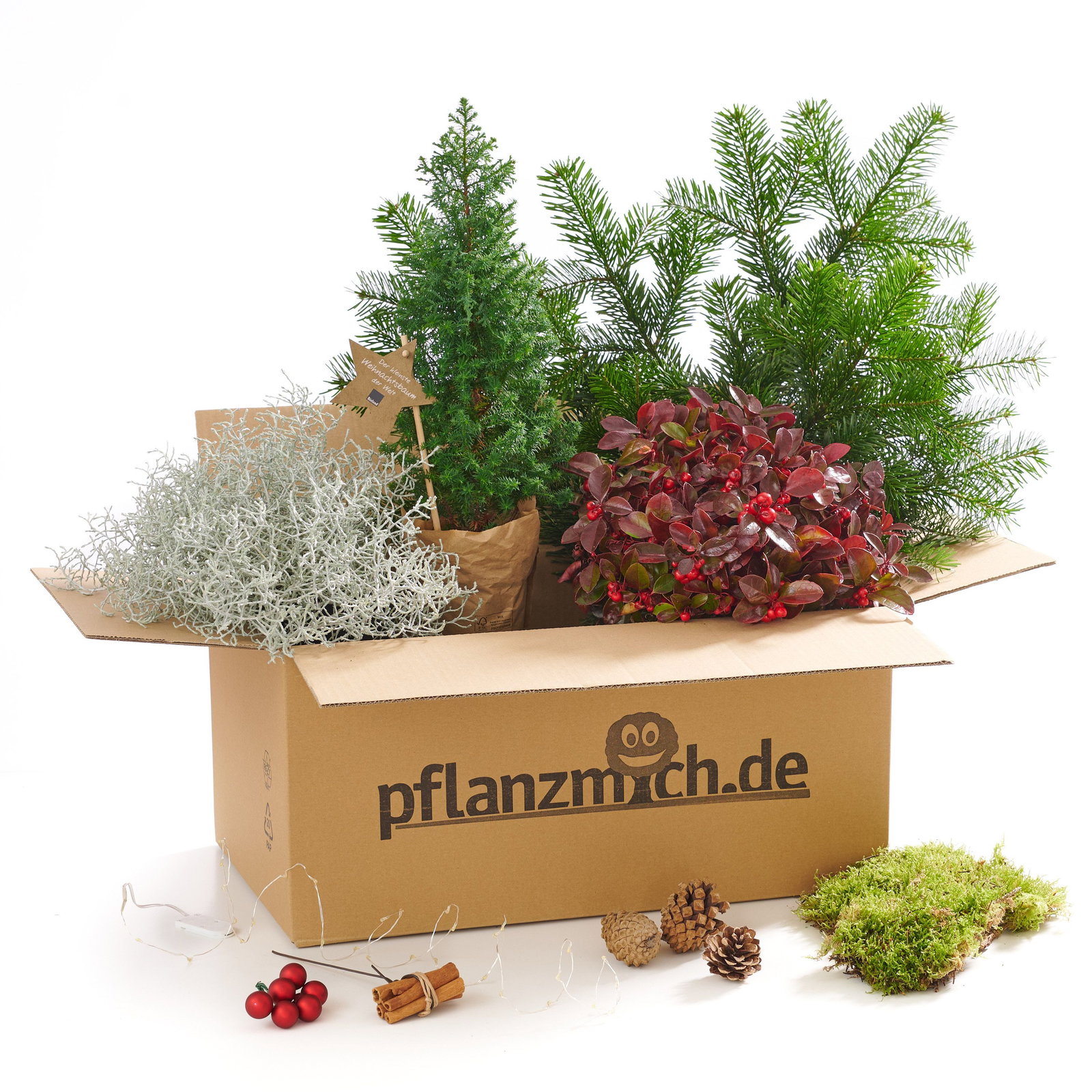 DIY Winterdeko-Set - Winterdeko-Box günstig kaufen