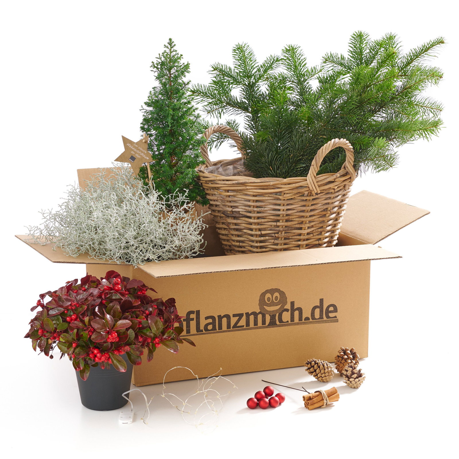 DIY Winterdeko-Set - Winterdeko-Box günstig kaufen