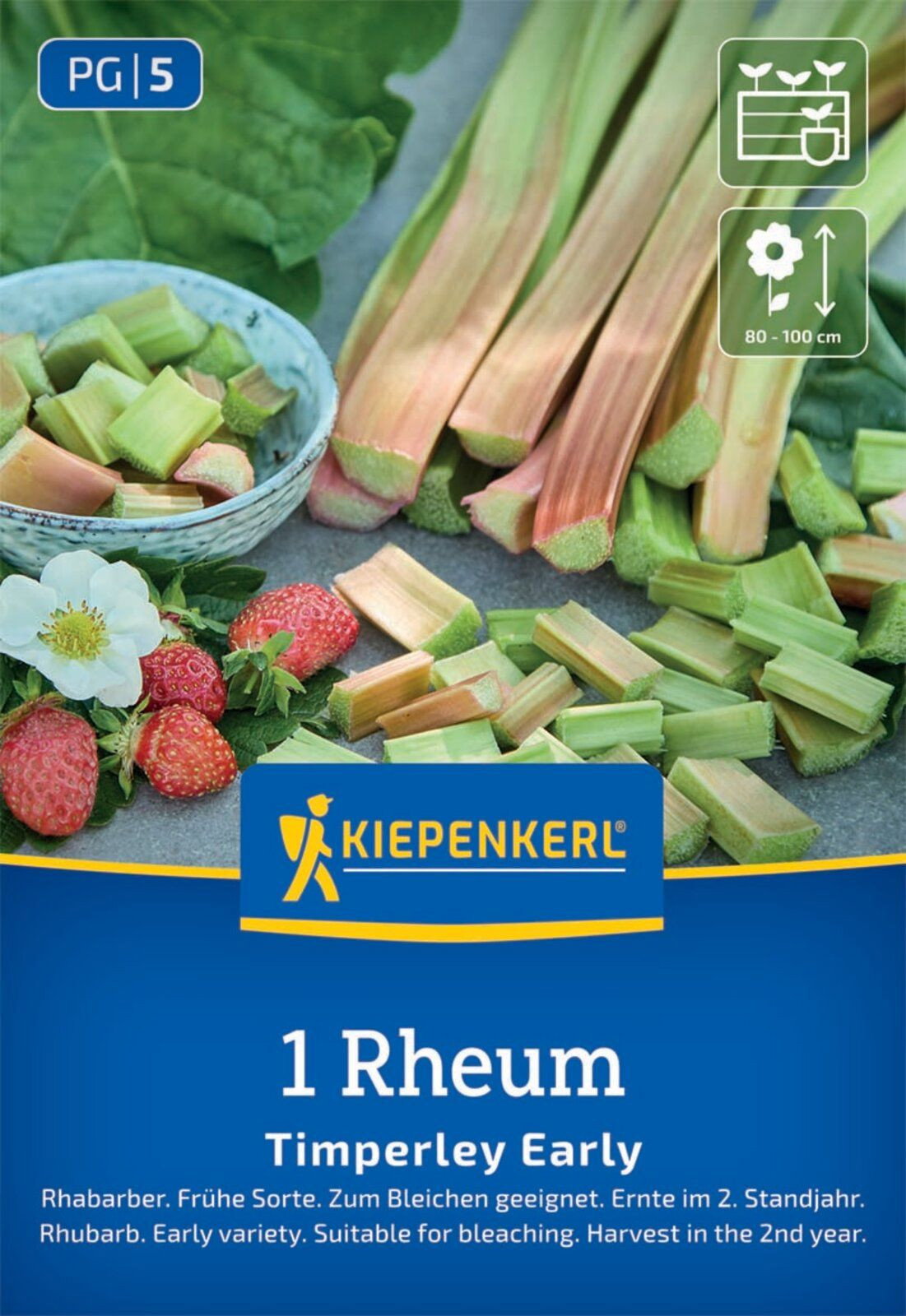 Rhabarber Timperley Early - Kiepenkerl Rheum rhabarbarum Timperley ...