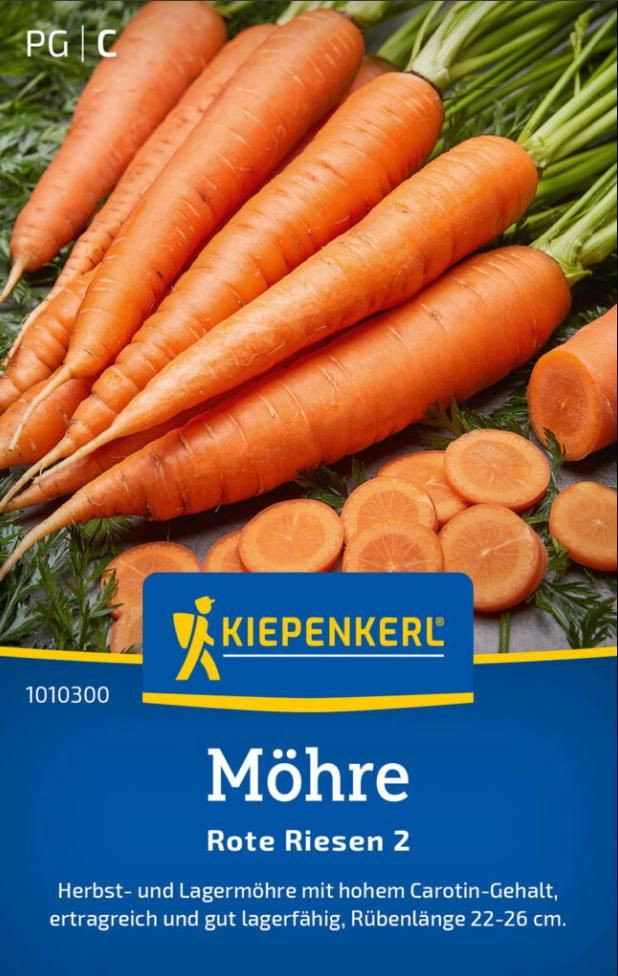 Möhre Rote Riesen 2 - Daucus carota günstig kaufen
