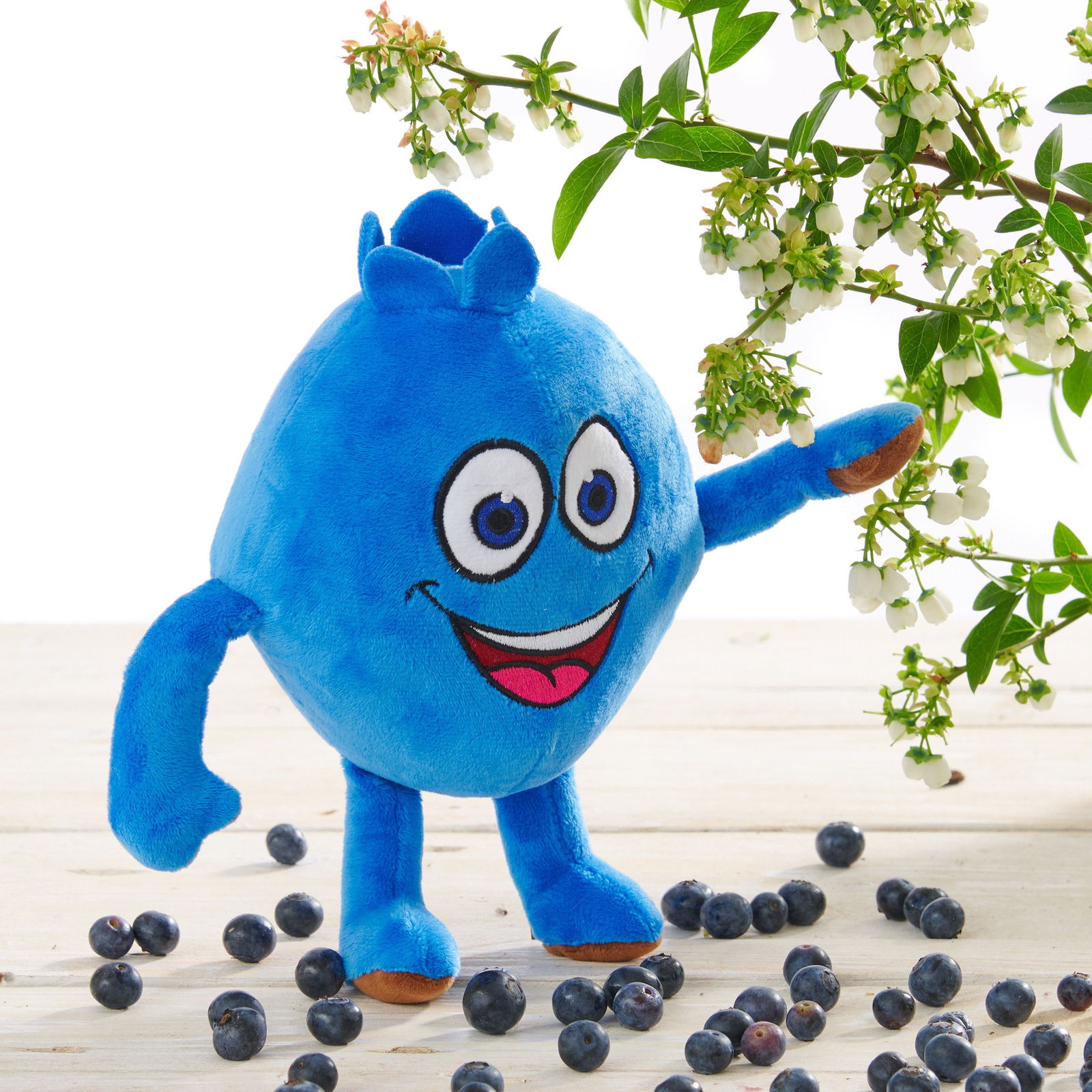 Heidelbeere Blaubert - Blaubeere BLAUBERT günstig kaufen