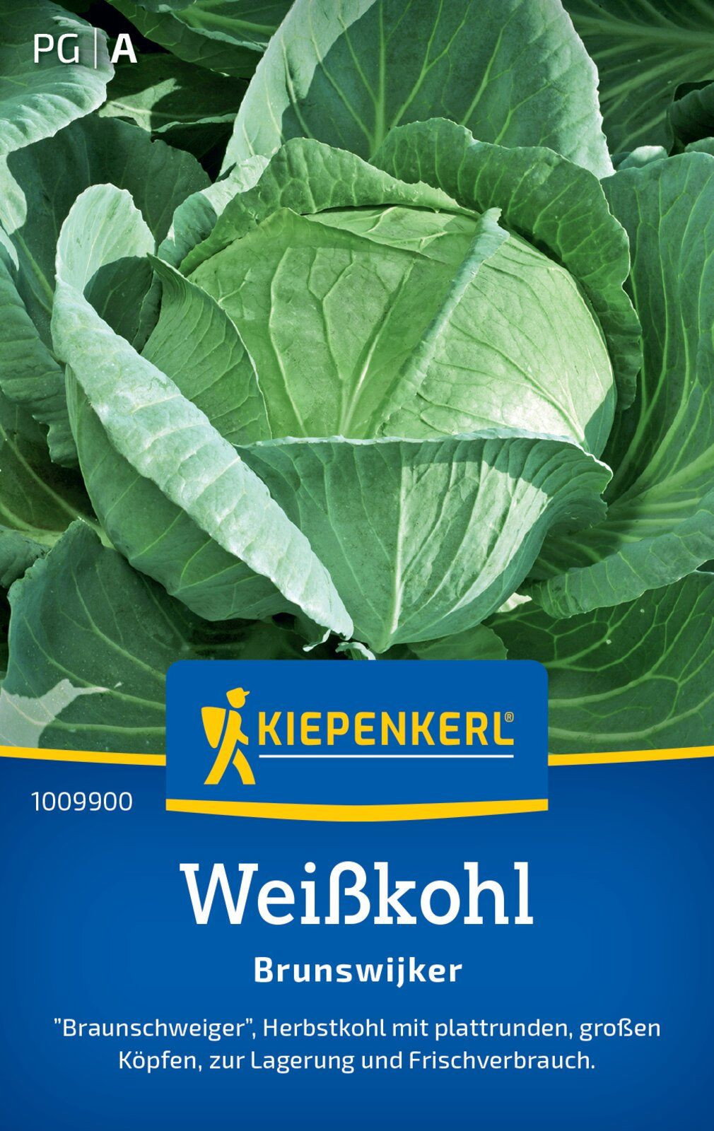 Weisskohl Pflanzen Kaufen