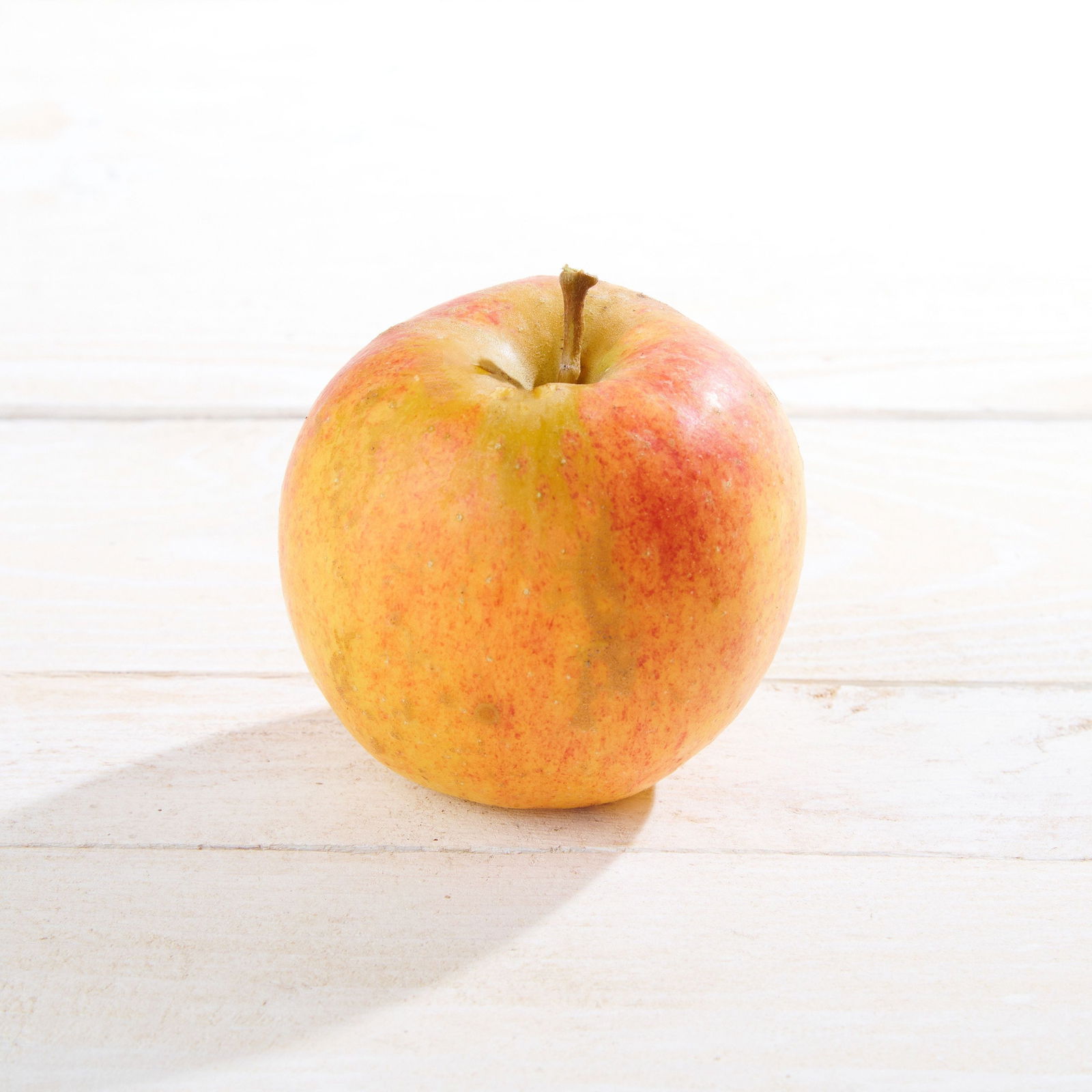 Apfel Royal Gala - Malus domestica Royal Gala günstig kaufen