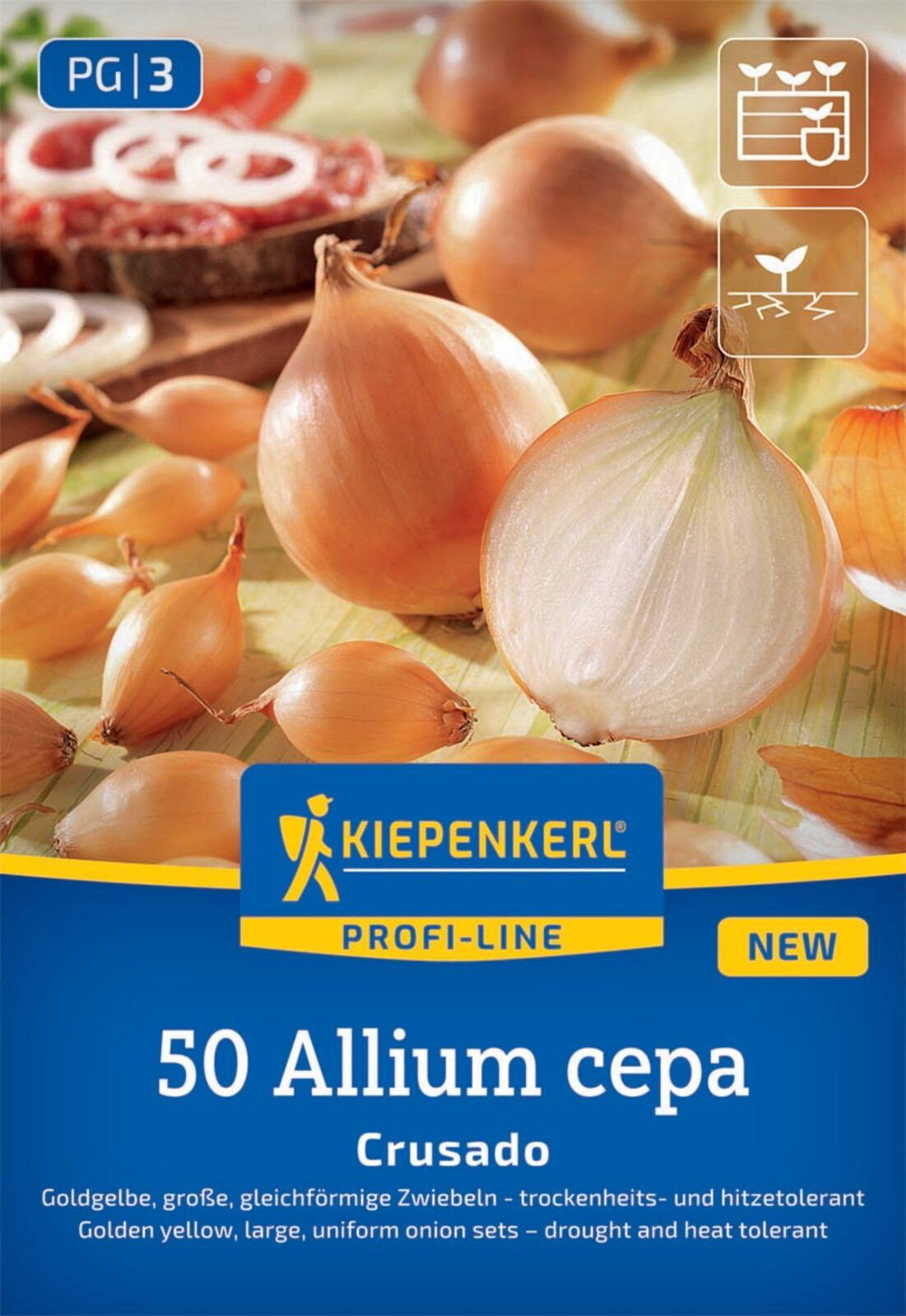 Gelbe Steckzwiebel Crusado - Kiepenkerl Allium cepa Crusado günstig kaufen